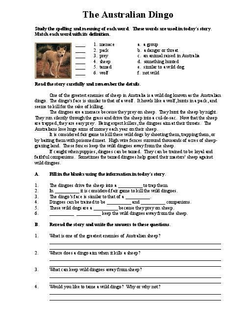 Reading Comprehension Passages For High School Students Reading Reading Comprehension Passages For High School Students Reading